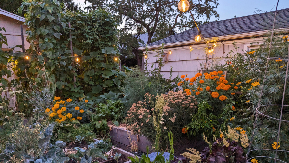 The Best Types of Crops to Grow in Small Gardens - Garden Super Power